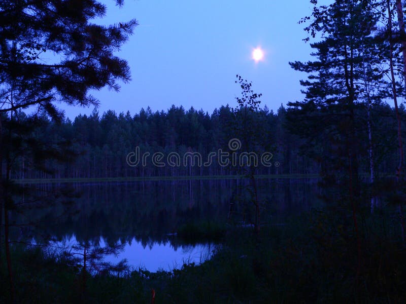 Forest lake at night stock photo. Image of blue, water - 91675958
