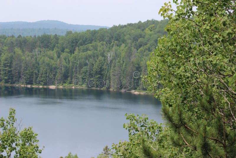 Forest lake stock photo. Image of ontario, nature, forest - 89780330