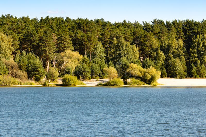 Forest by the Lake in the Open Air Stock Photo - Image of landscape ...