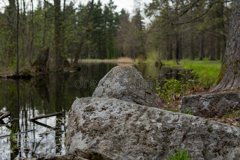 Forest Lake Scene with Rocks and Trees Stock Photo - Image of scene ...