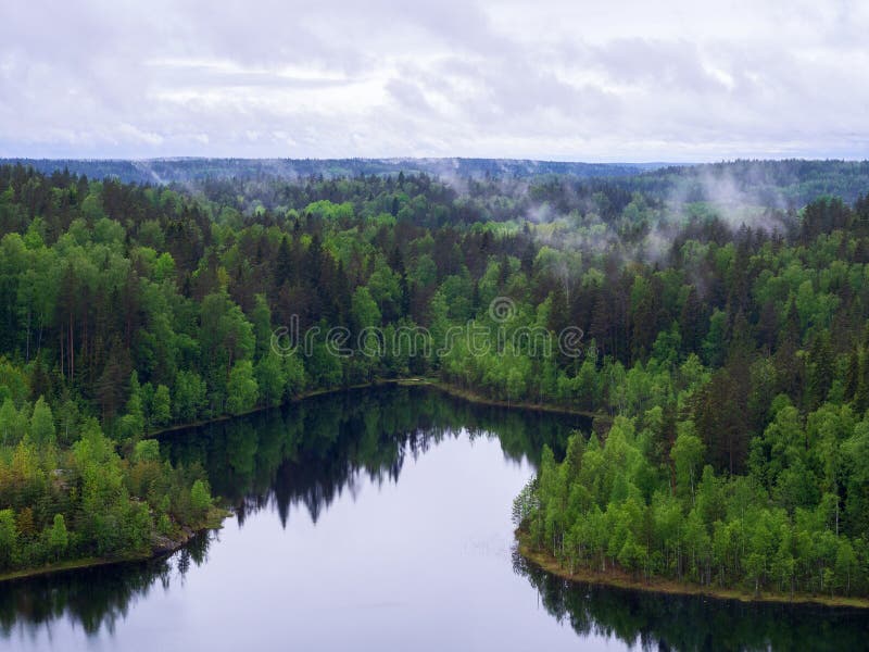 Forest Lake Shore Landscape . Summer Forest Lake Shore Panorama Stock ...