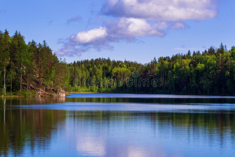 Forest Lake Shore Landscape . Summer Forest Lake Shore Panorama Stock ...