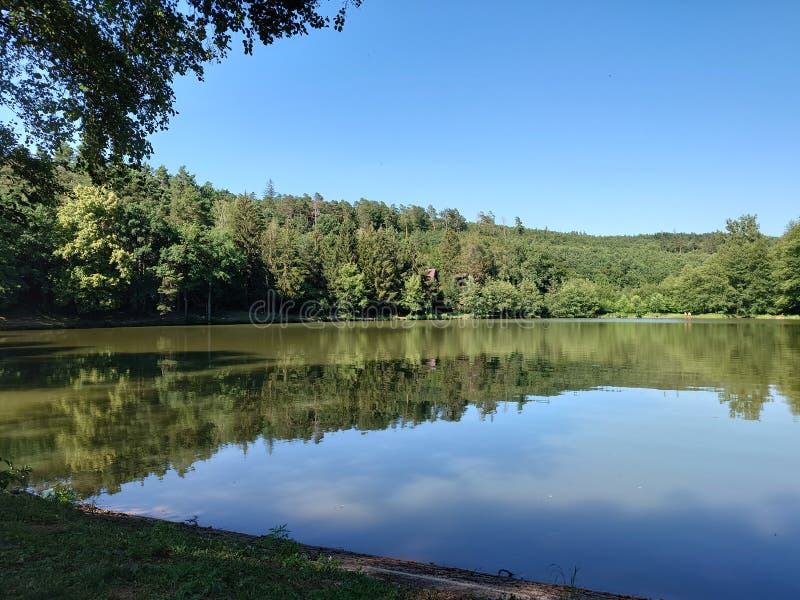 Forest lake small stock photo. Image of forest, reservoir - 251220750