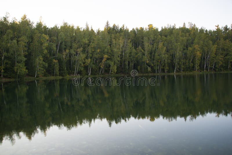 Forest Lake Smooth As a Mirror of Water. Stock Image - Image of clean ...