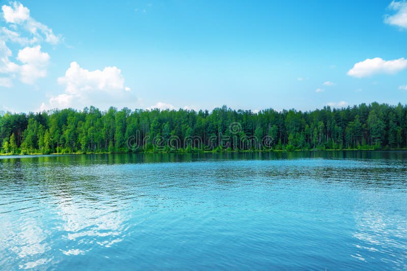 Forest lake stock photo. Image of purity, scene, nordic - 46021564