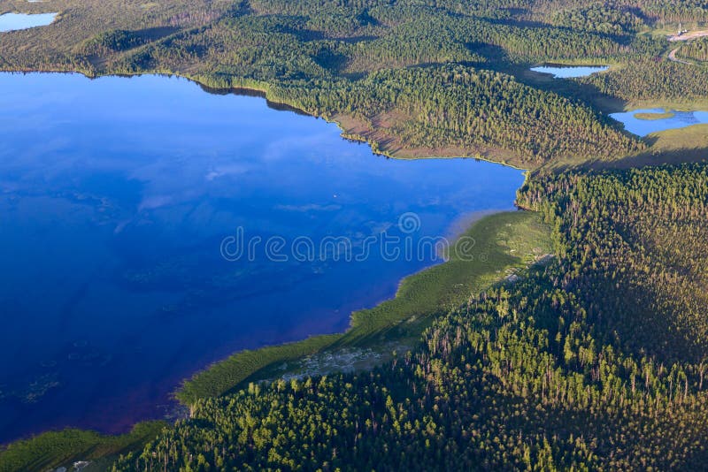 Forest lake, top view stock image. Image of blue, lake - 51117865
