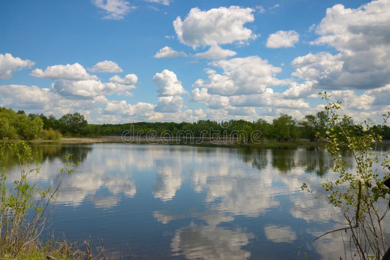 Forest Lake in the Windless Stock Image - Image of beautiful, beauty ...