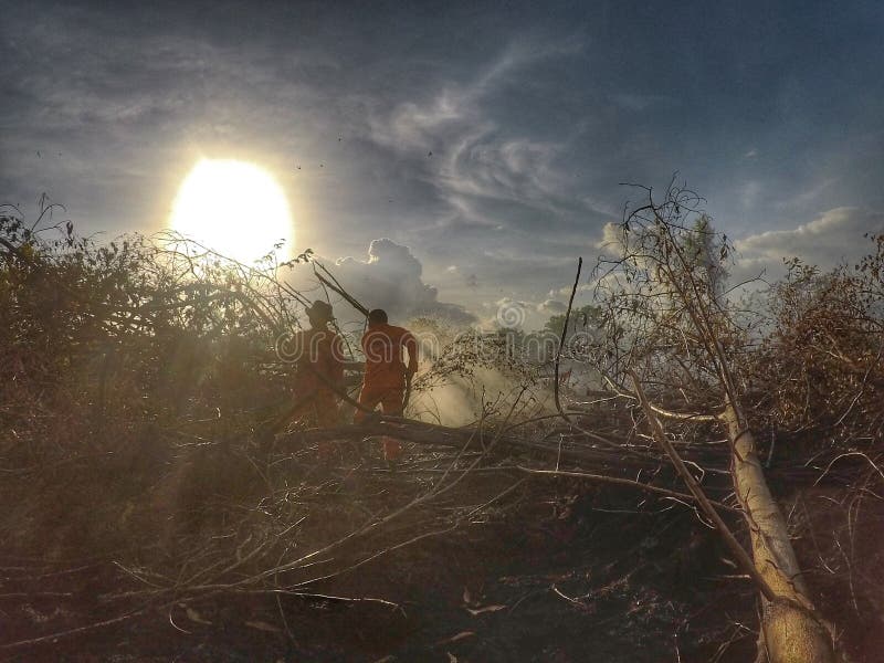 Forest and Land Fire Fighting Activities Stock Photo - Image of winter ...