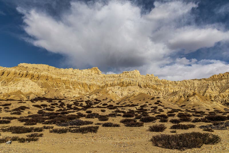 Forest Landforms and Stone Formations in Zada County, Ali Prefecture ...