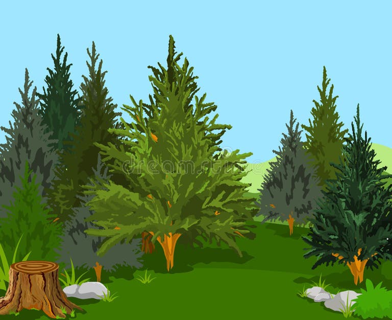 Forest Soil Stock Illustrations – 81,230 Forest Soil Stock ...