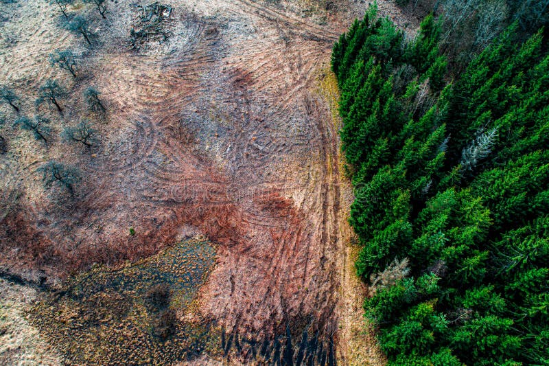 Forest half cut, aerial stock photo. Image of forest - 165945004