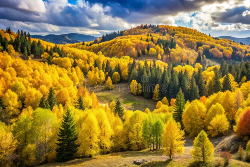 Forest Landscape in Autumn - Forest Landscape with Yellow Trees in ...