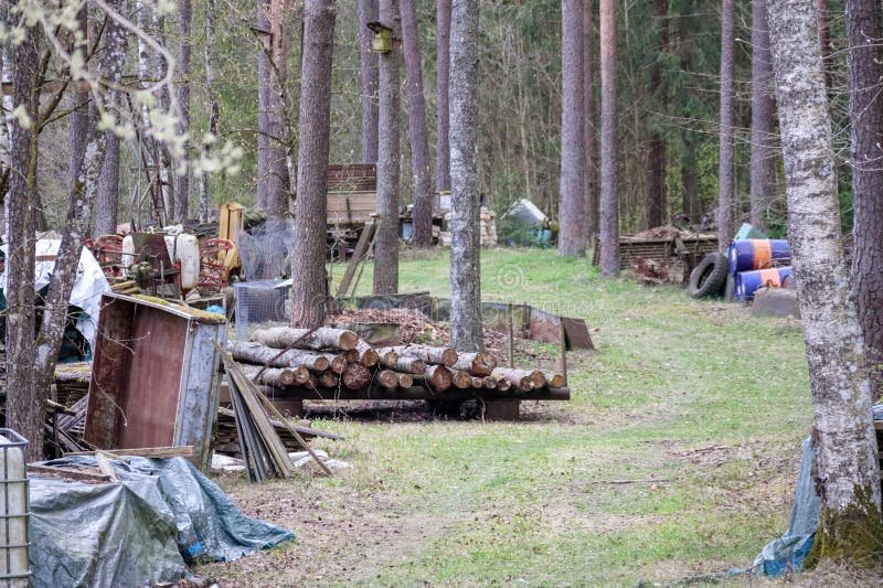 .a Forest Landscape with Many Trees and Various Objects Placed between ...