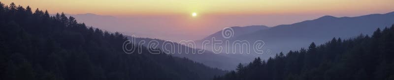 Forest Landscape with Misty Mountains at Dusk, Mist, Forest Stock ...