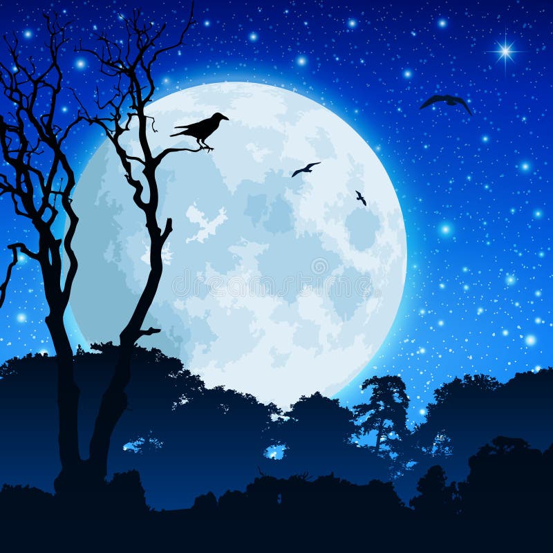 Moon and Night Sky stock vector. Illustration of country - 27158590