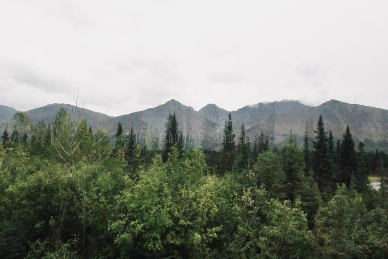 Natural Terrestrial Ecosystem