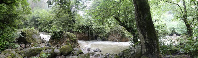 4,293 Iran Spring Stock Photos - Free & Royalty-Free Stock Photos from ...