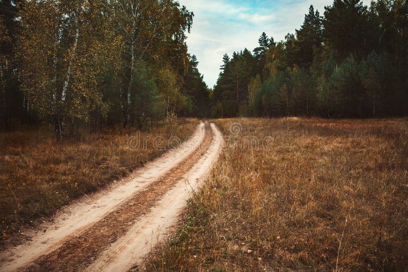 Forest Landscape with Road. a Rough Road Leading into the Forest Stock ...
