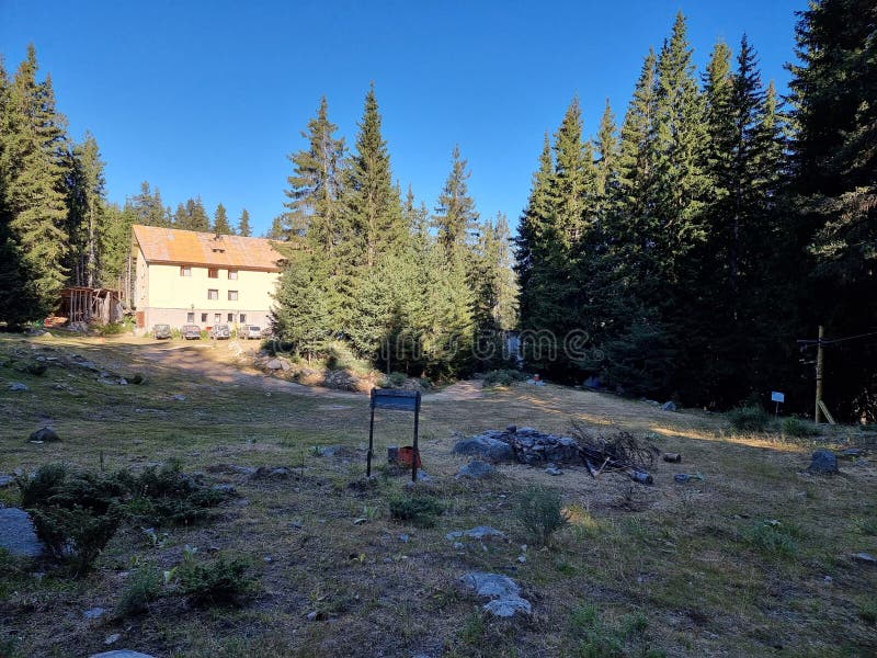 Forest Landscape with Rustic Building and Pine Trees. Stock Photo ...