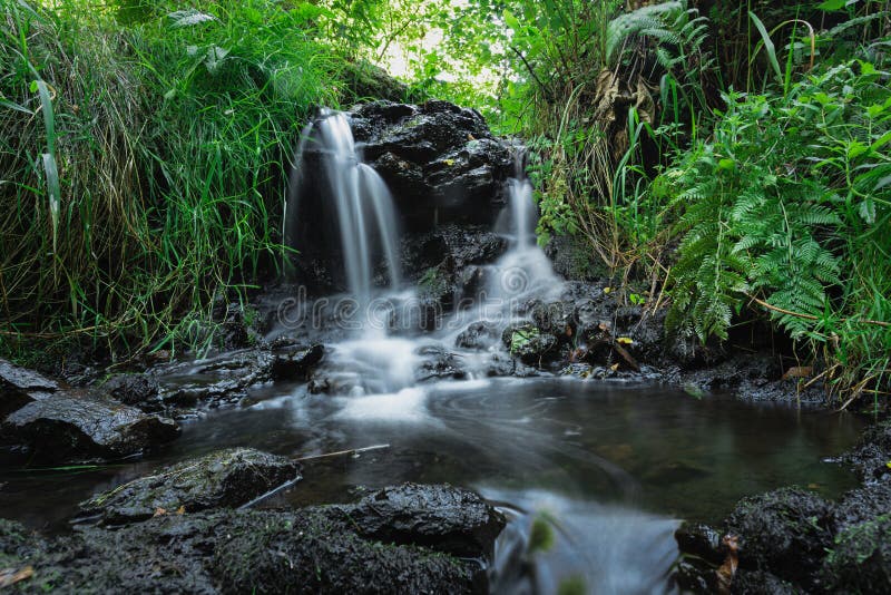 Forest Landscape with a Small Lake and Waterfall Stock Image - Image of ...