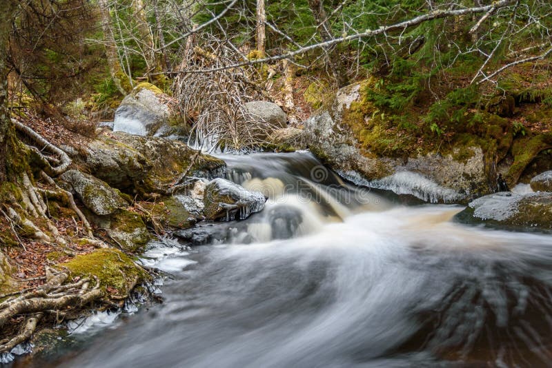 Forest Landscape with Small River Cascade Falls Over Mossy Rocks Stock ...