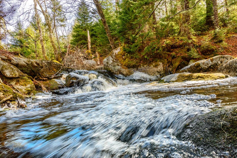 Forest Landscape with Small River Cascade Falls Over Mossy Rocks Stock ...
