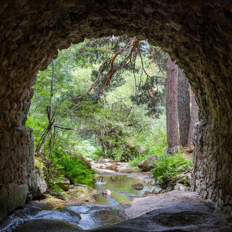 Forest Landscape. Stone Arch Bridge in a Coniferous Forest Stock Image ...