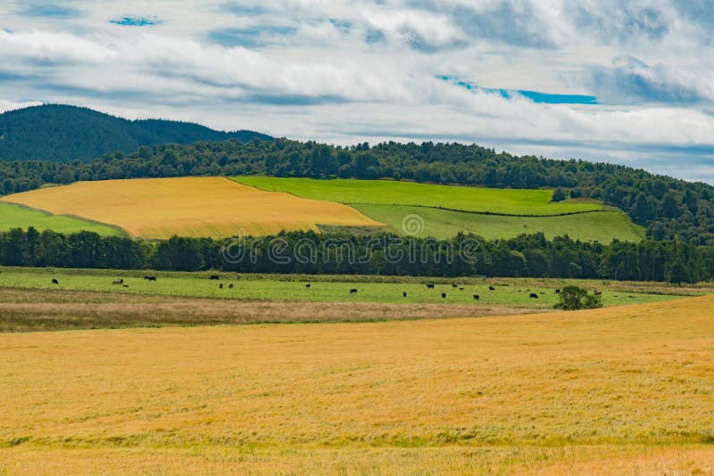 Landscape Scotland stock photo. Image of ness, colorful - 99058780