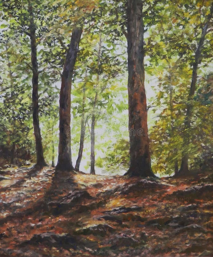 Forest Landscape and Sunlight Breaking through the Branches Stock Image ...