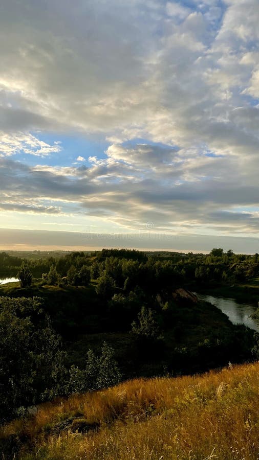 Forest Landscape at Sunset in Summer in the Field Stock Photo - Image ...