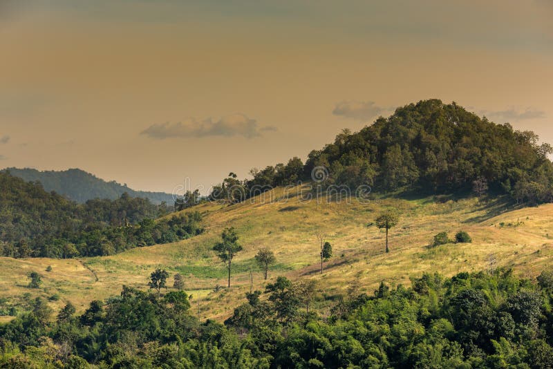 Forest Landscape : View of Hills and Mountain Range Full of Green Tree ...