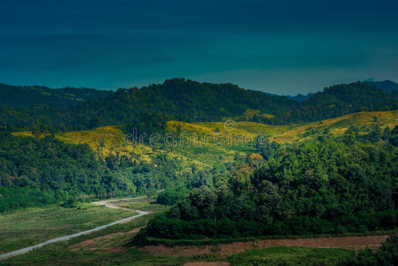 Forest Landscape : View of Hills and Mountain Range Full of Green Tree ...