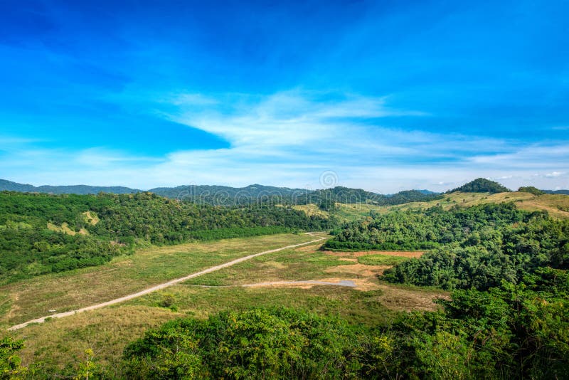 Forest Landscape : View of Hills and Mountain Range Full of Green Tree ...