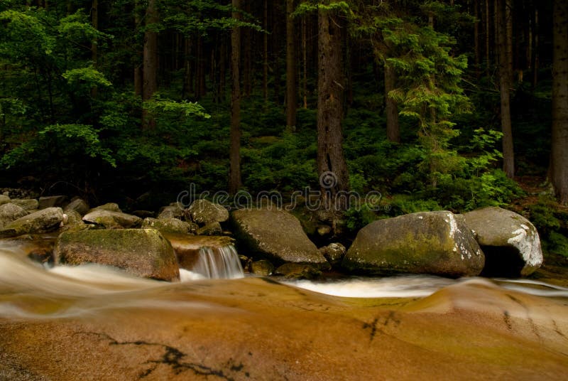 Forest Landscape with Wild River in Foreground Stock Image - Image of ...