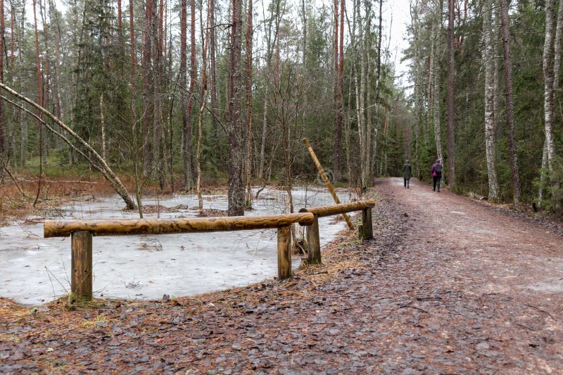 .a Forest Landscape with a Wooden Barrier and a Path Along Which People ...
