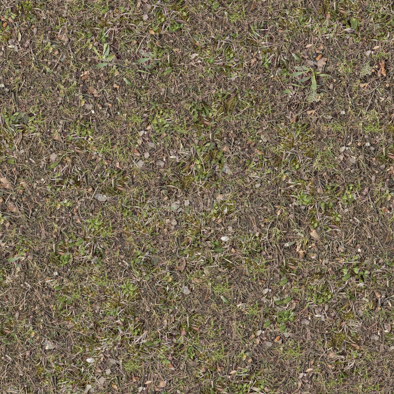 Sol De Forêt. Texture Sans Couture. Photo stock - Image du prairie ...