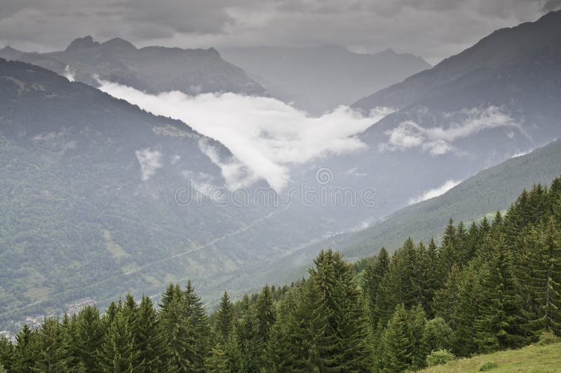 The forest of Le Praz stock photo. Image of village, gray - 16246838