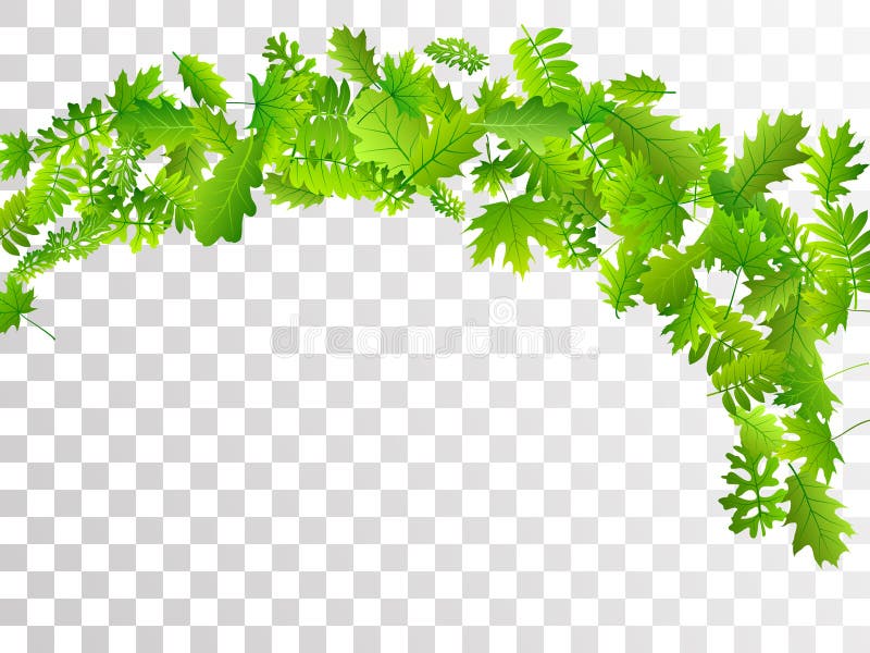 Forest Leaves Lush Vector Pattern. Tropical Forest Foliage Closeup ...