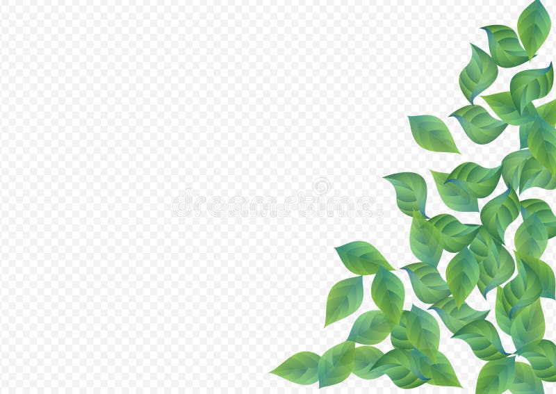 Forest Leaves Realistic Vector Transparent Stock Vector - Illustration ...