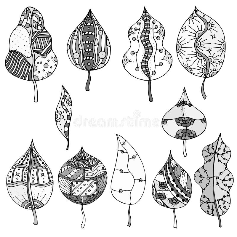 Forest leaves. Vector. stock vector. Illustration of isolated - 66213722
