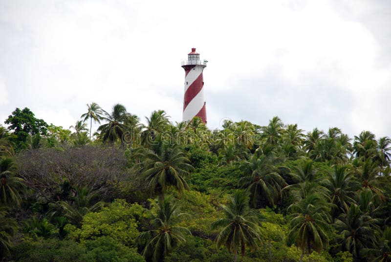 Forest Light house stock photo. Image of safe, communication - 6958498