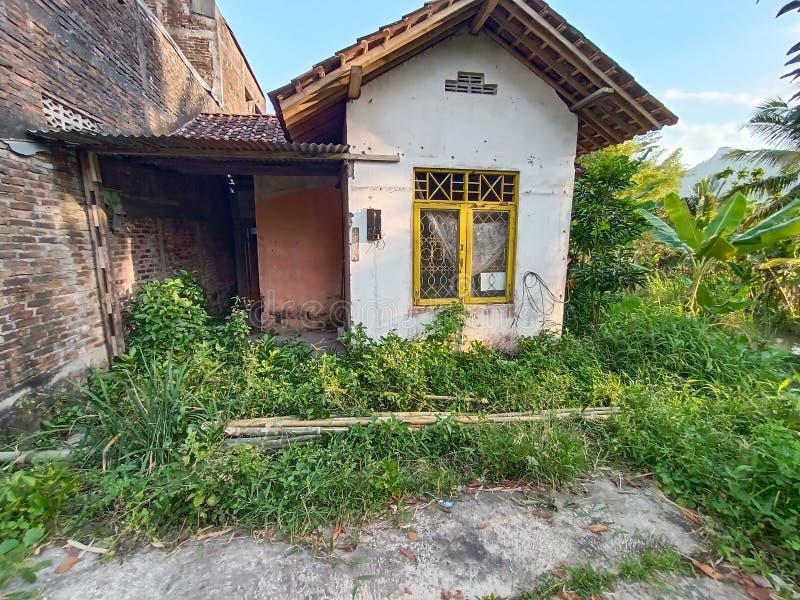 Forest-like Homes are Usually Designed To Blend in with Nature by Using ...