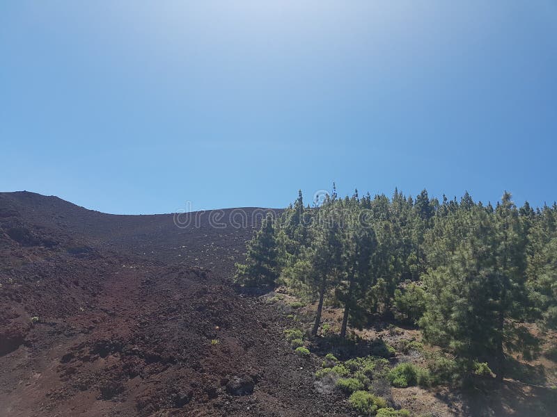 Forest stock photo. Image of road, volcano, trip, forest - 93354758