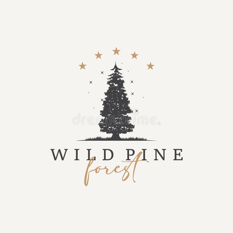 Forest Logo, Vector Forest Wood with Pine Trees, Design Inspirational ...