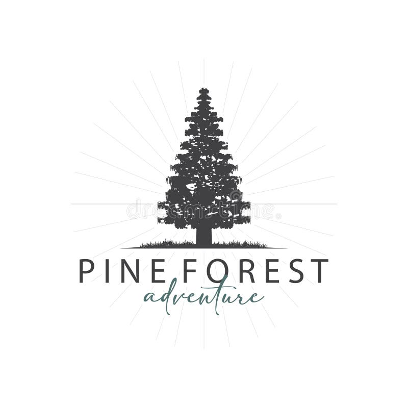 Forest Logo, Vector Forest Wood with Pine Trees, Design Inspirational ...