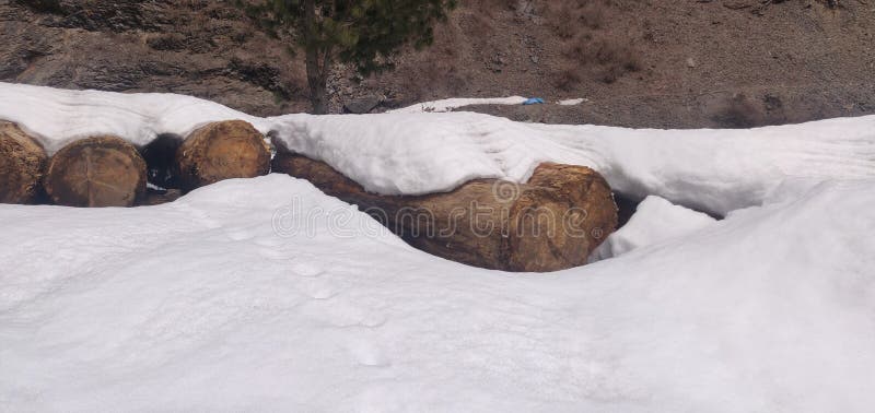 Amazing Snow Covered Logs, Kashmir Valley Stock Photo - Image of logs ...