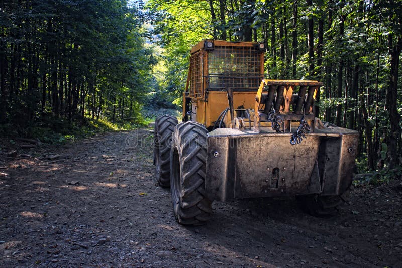 Forest #3 stock image. Image of road, ridge, nature, trees - 1165105