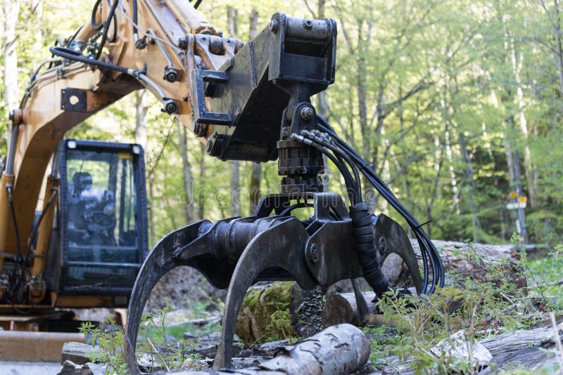 Forest machine stock photo. Image of strunk, tree, machine - 71169622