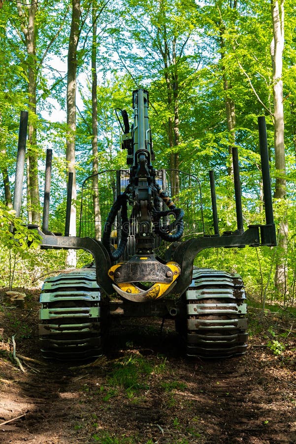 Forest Machine in the Forest Stock Photo - Image of font, forest: 193231570