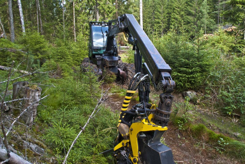 Forest machines stock image. Image of bulldozer, hydraulic - 26009487